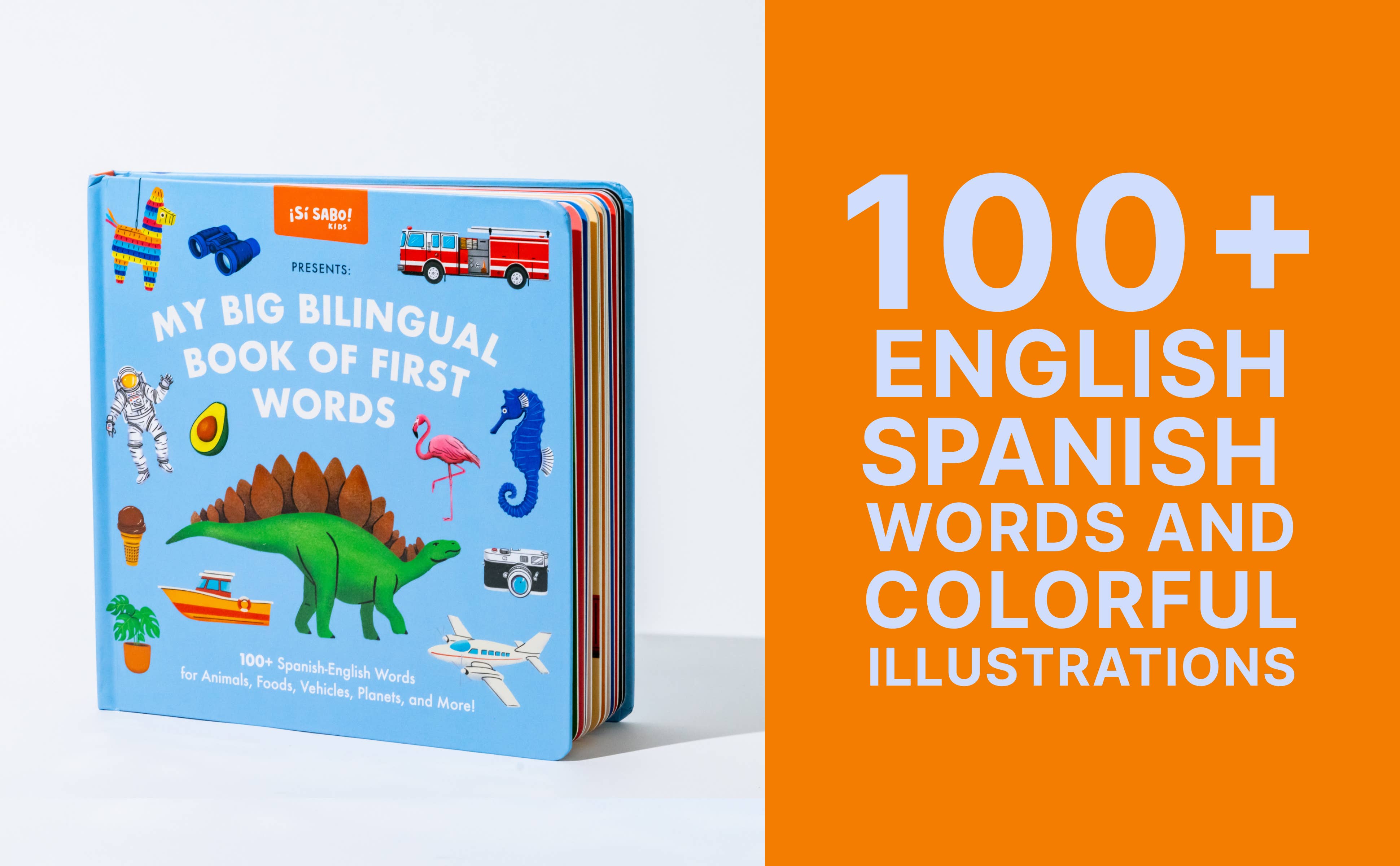 Blue Star Press - My Big Bilingual Book of First Words (English & Span ...